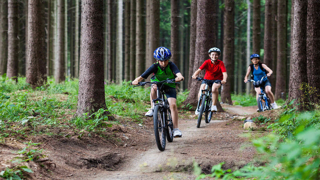 Hunas Falls Cycling Tour from Kandy – Lakpura®